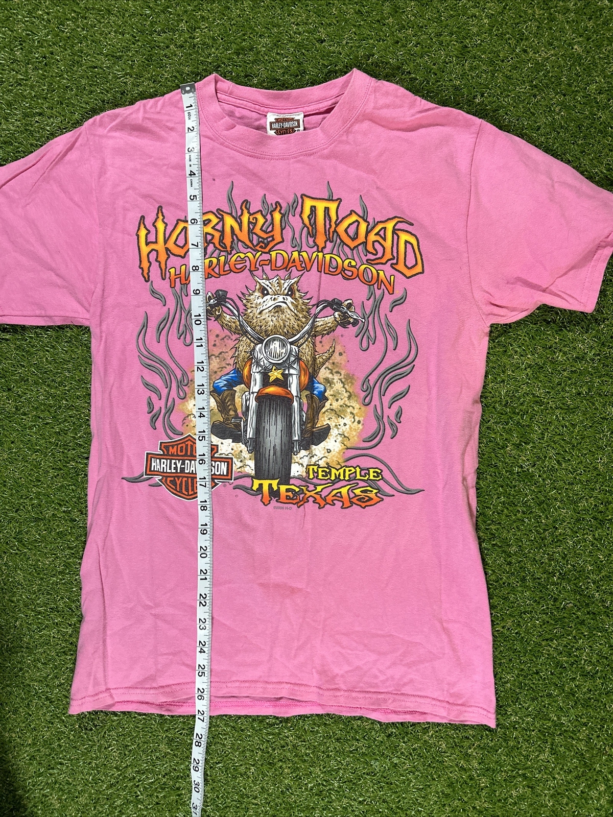 Y2K Harley Davidson Horny Toad Pink Temple Texas 2006… - Gem
