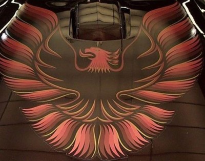 1978 - 81 TRANS AM COMPLETE DECAL KIT W/ 1 Pc HOOD BIRD - RED - GM ...