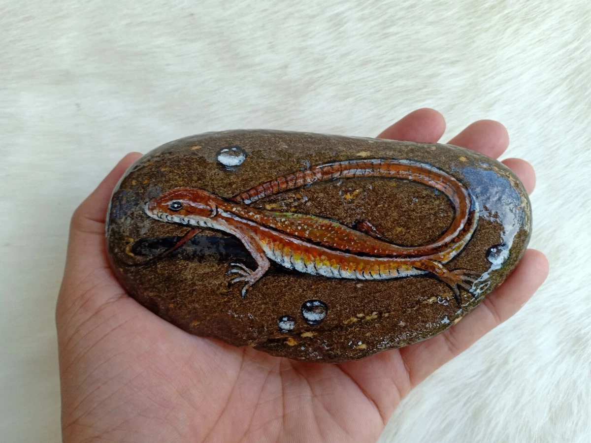 Lizard Painted On Rocks