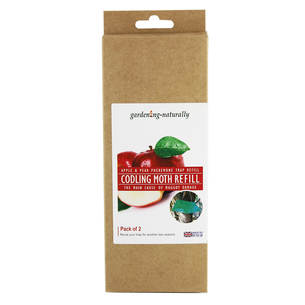 Codling Moth Pheromone Trap Protect Your Apples and Pear from Maggots ...