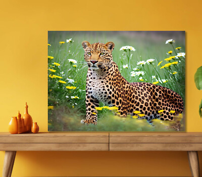 Wild Leopard Grass 5mm thick Plastic Poster Ready to Hang 60x45cm ...