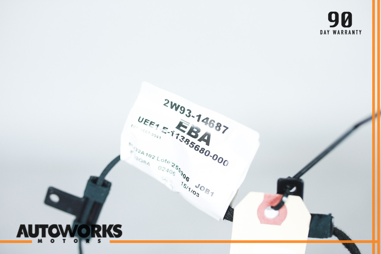 04-07 Jaguar XJ8 XJR VDP X350 Rear Right or Left Door Wire Wiring ...