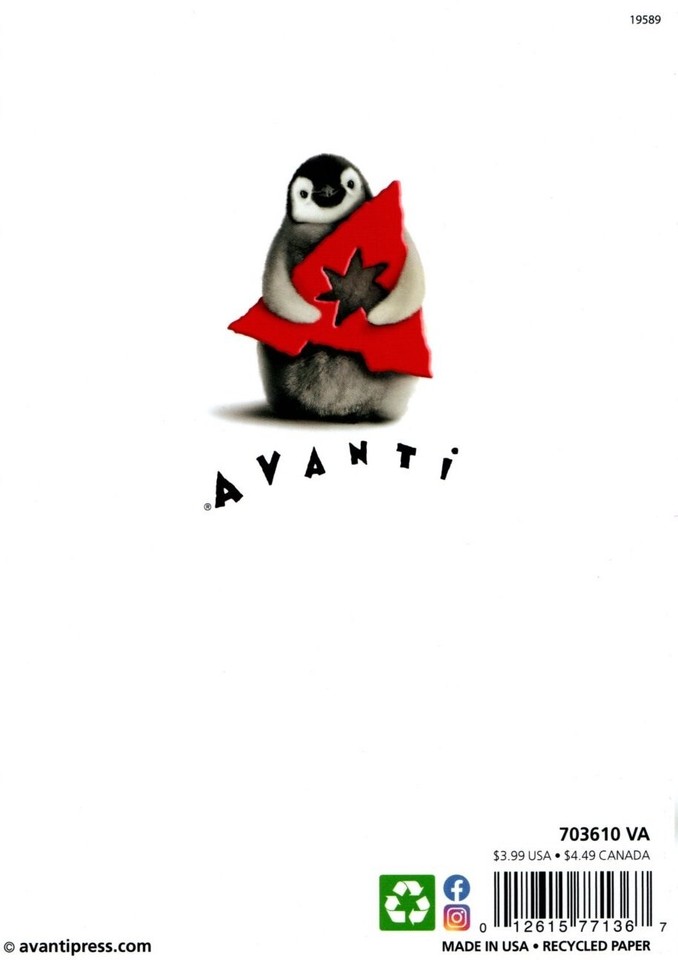 Happy Valentine's Day Penguin Pink Rose Roses Bouquet Love Bunch ...