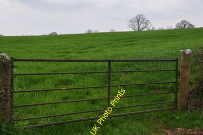Photo A1 East Devon : Grassy Field & Gate Larkbeare A gate providing ...