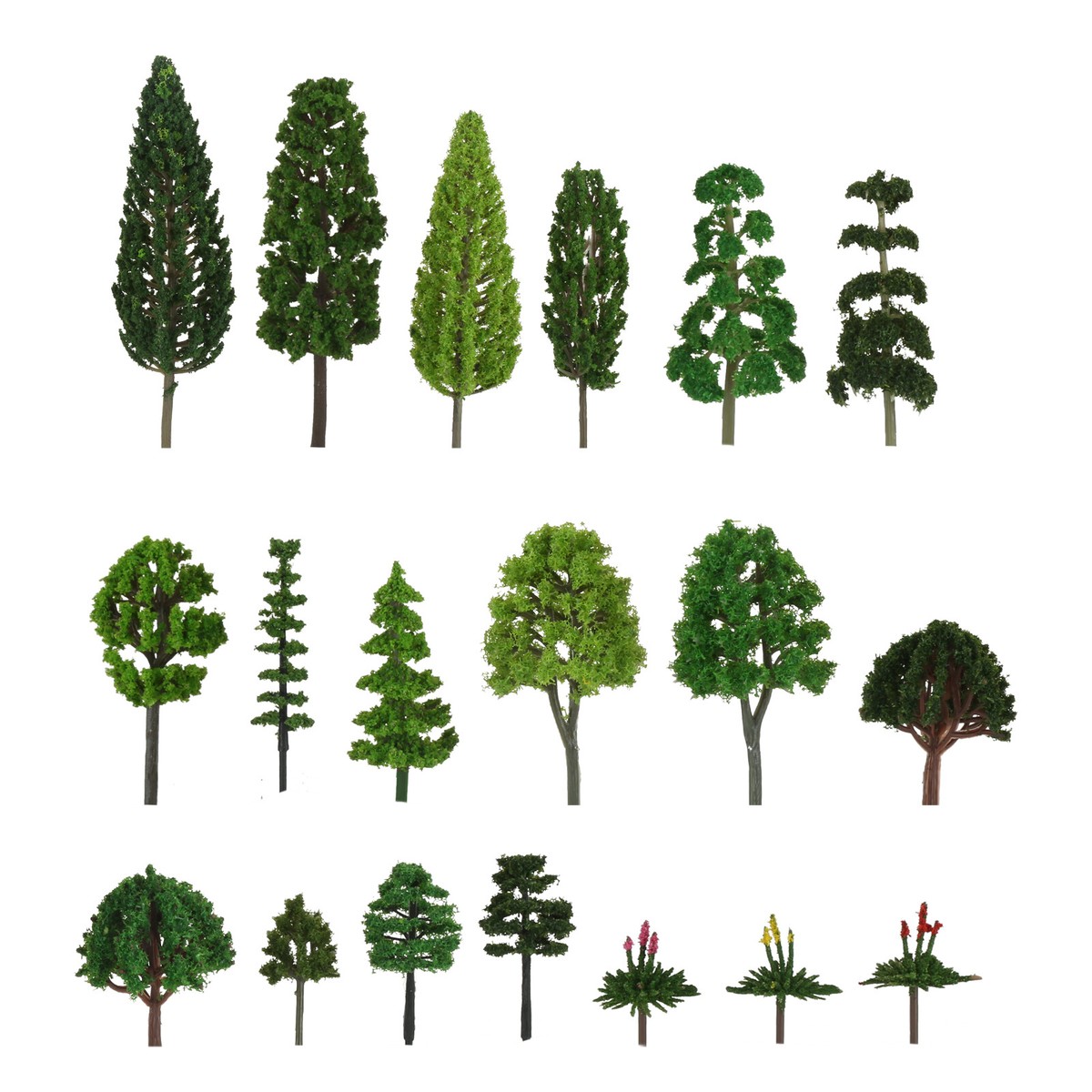 What Are The 6 Types Of Trees - Infoupdate.org