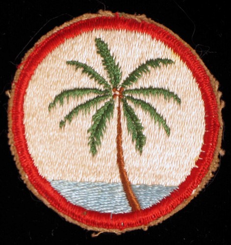 WWII ERA UNITED STATES MILITARY UNIFORM PATCH PALM TREE TROPICAL ISLAND ...