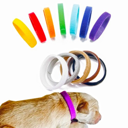 12 Colors Pet Dog Puppy ID Collar Adjustable Strap Identification Tag ...