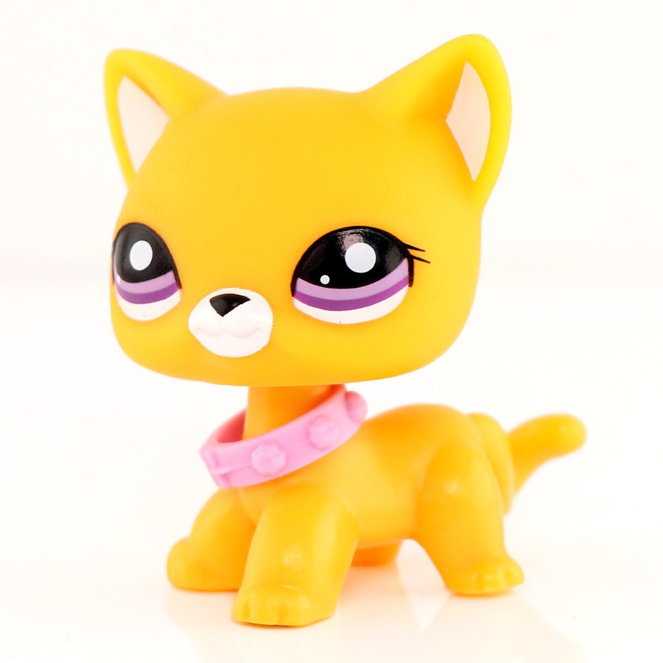 Mini Pet Shop LPS Shorthair Cat Orange Cat 2433 with Collar Great Gifts ...