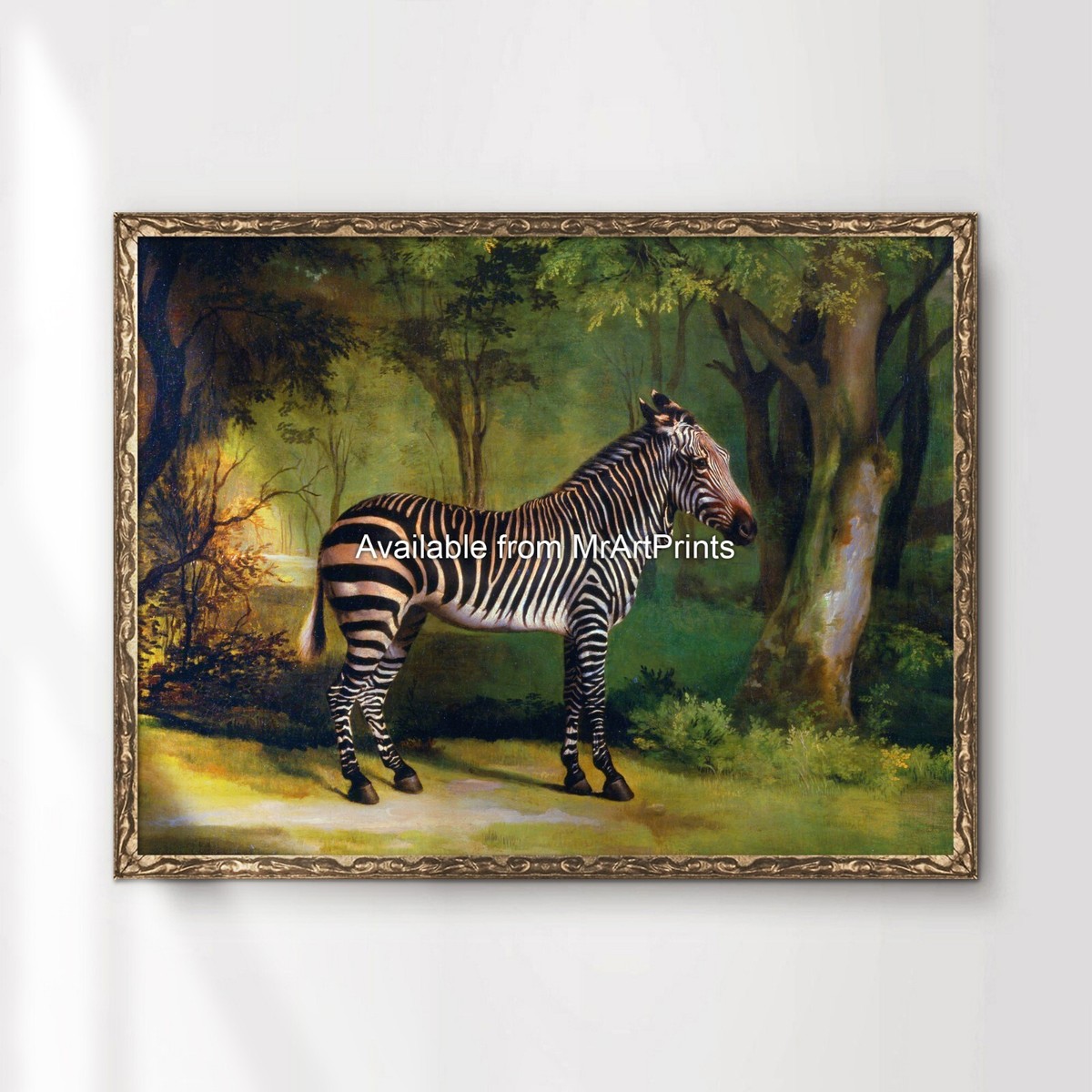 Printable African Zebra