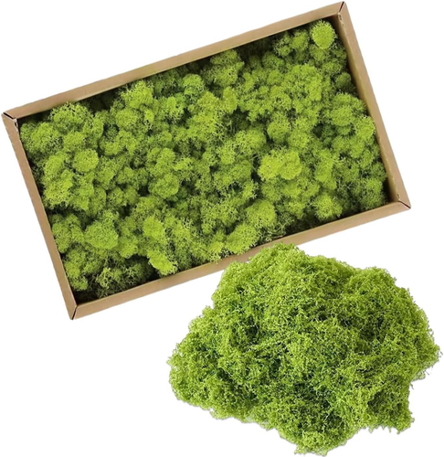 Moos zum Basteln 270g Natur Dekomoos zum Basteln Kunstmoos zum Basteln ...
