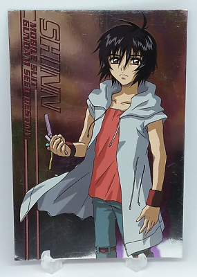 Shin Asuka