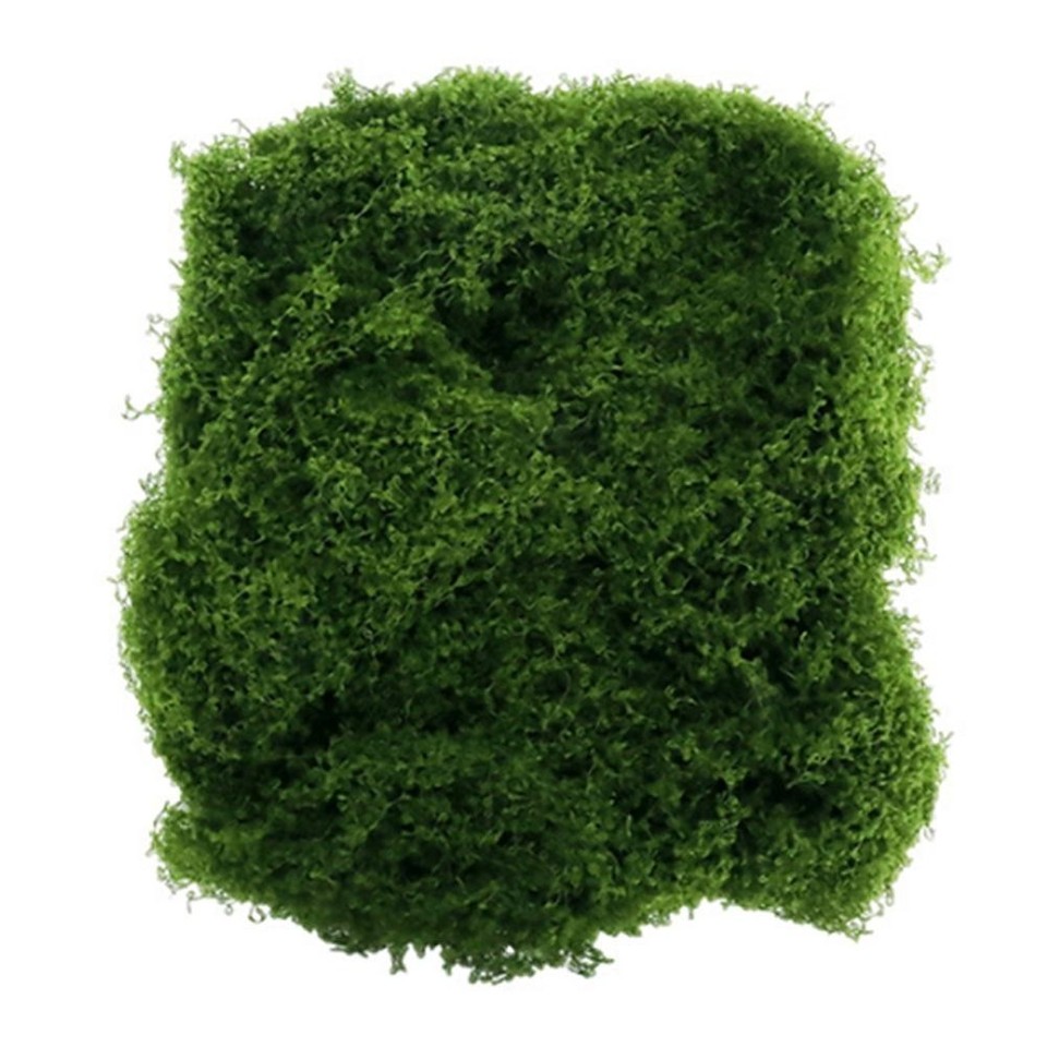 Artificial Moss 50g 100g 200g for Creative Indoor and Outdoor Displays ...
