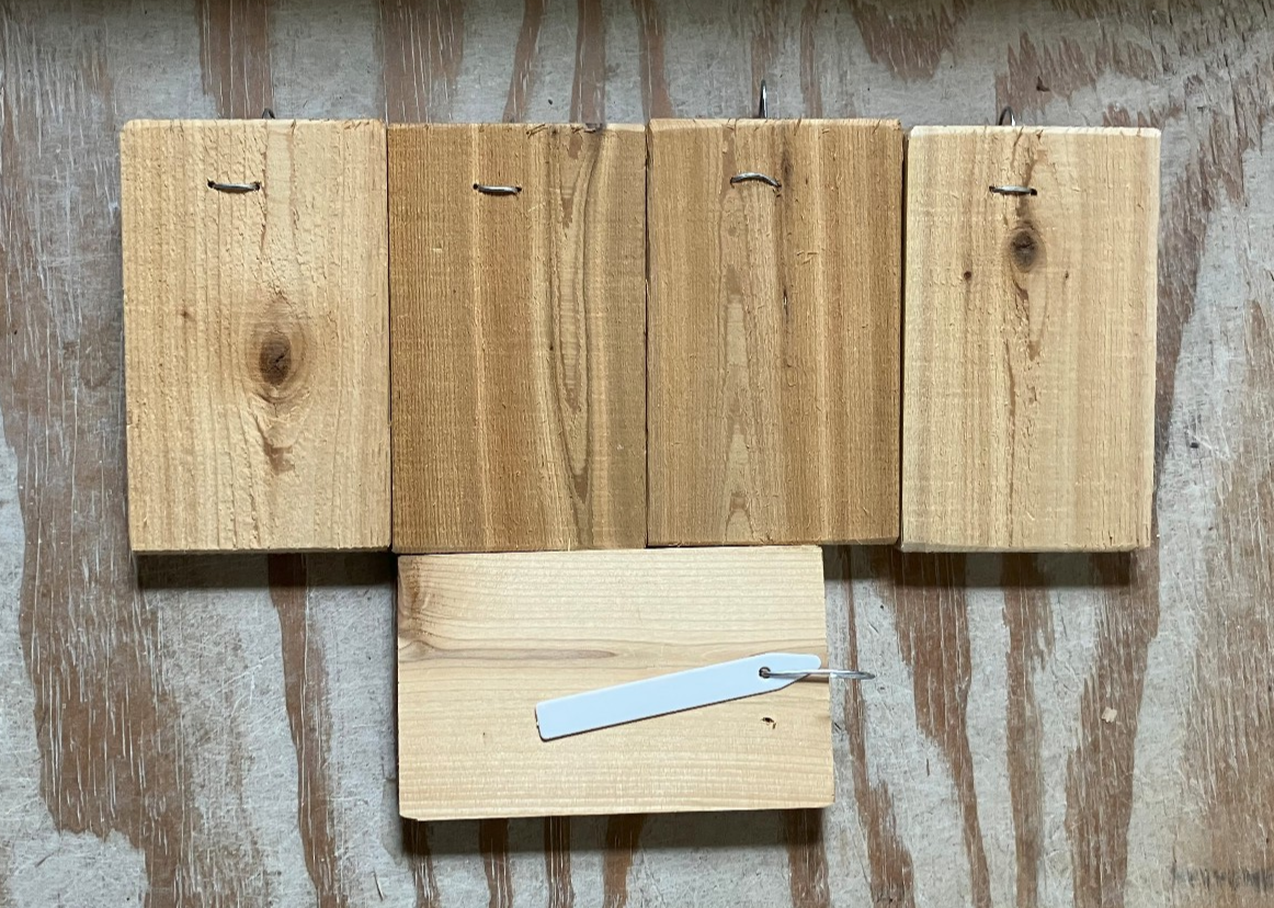 (5) Orchid mounts cedar wood 3.5 x 6x 5/8 thick with label -plants not ...