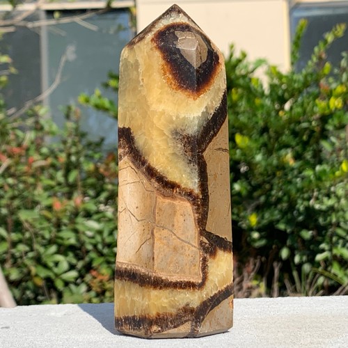 443G Natural turtle back stone dragon crystal Energy Tower Point Reiki ...