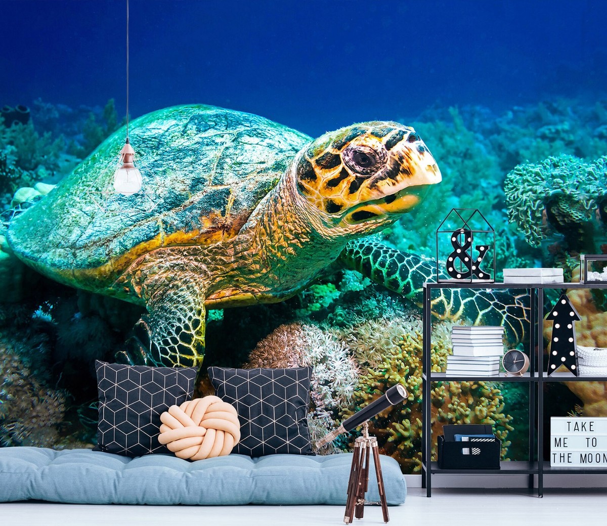 Beautiful Sea Turtle Wallpapersturtle Sea Turtle Underwater In Indian