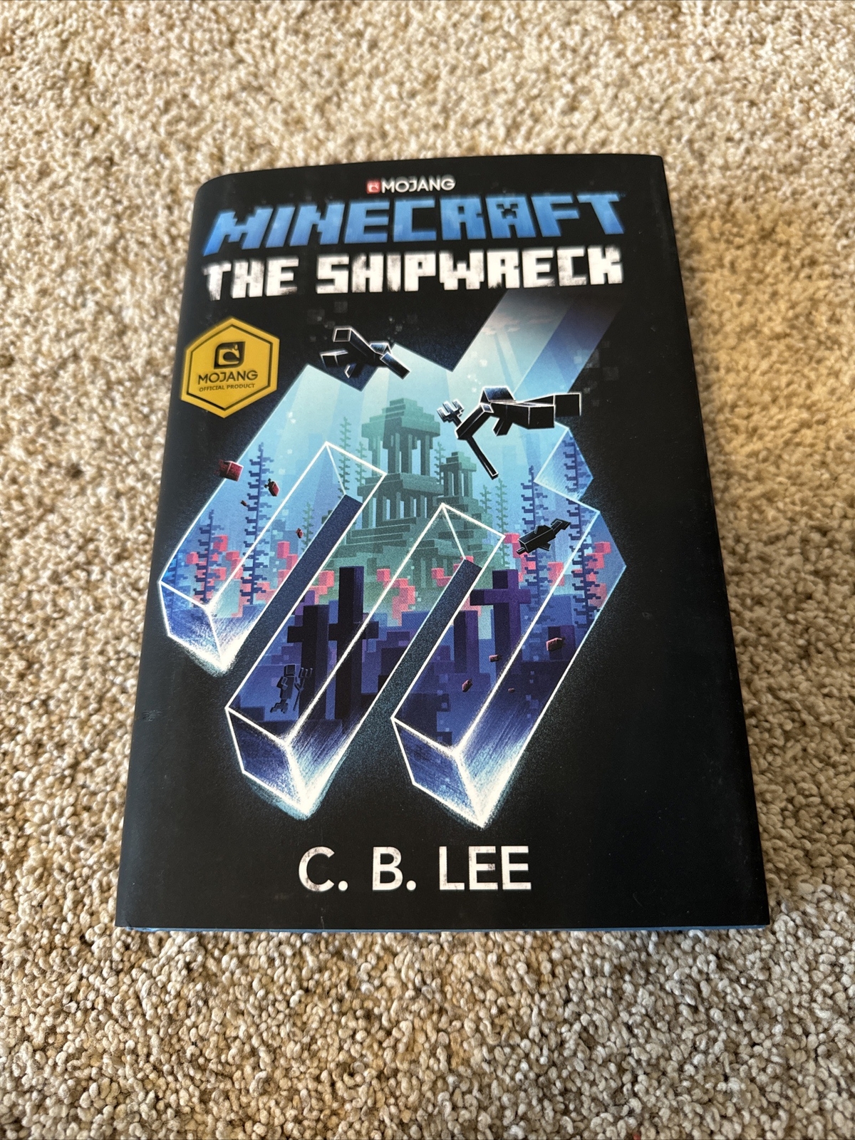 Minecraft Ser.: Minecraft: the Shipwreck : An Official Minecraft Novel ...