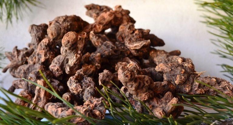 Tormentil Root Natural Loose Herbal Tea Digestive Health Anti ...