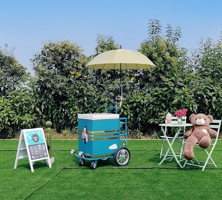 Ice Cream Gelato Frozen Food Freezer Push Cart With Umbrella | eBay