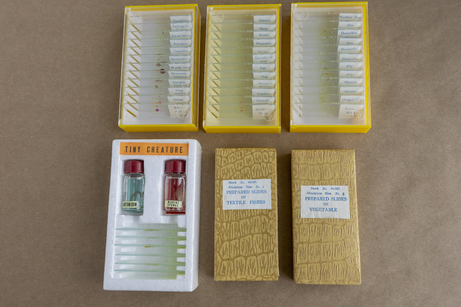 6 Boxes of Prepared Specimen Microscope Slides, 66 Slides Total ...