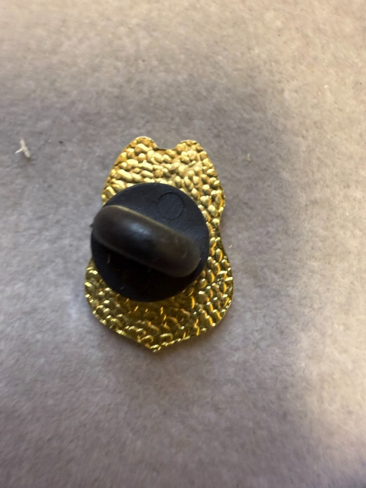 1789 US Customs The Department of The Treasure Special Agent Pin Badge ...