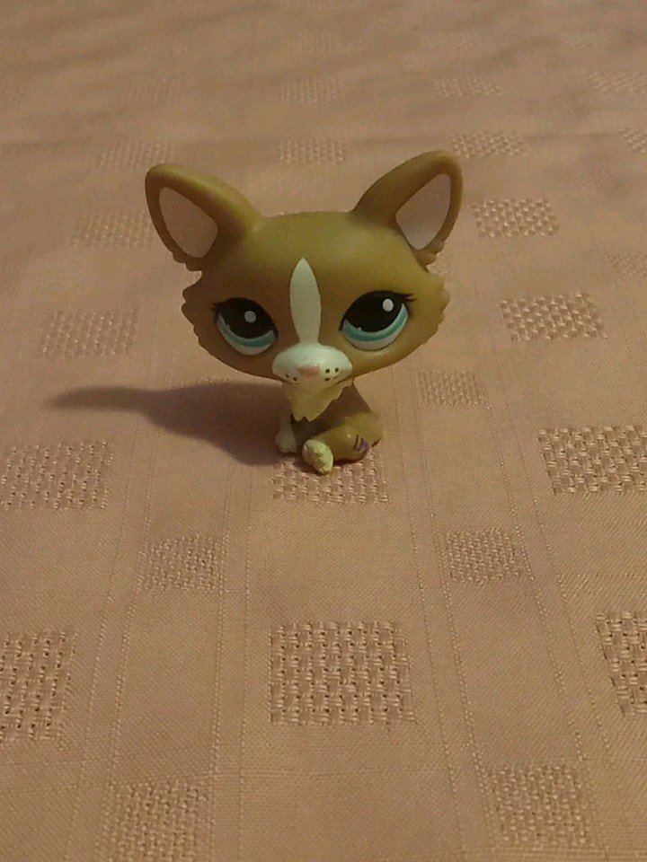Littlest Pet Shop #1864 Corgi Brown Puppy with Blue Eyes 1.75" LPS ...