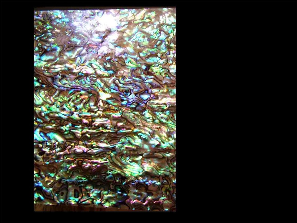 Paua Shell INLAY OVERLAY Luthier Scrapbooking Die Cut Crafts Lures ...
