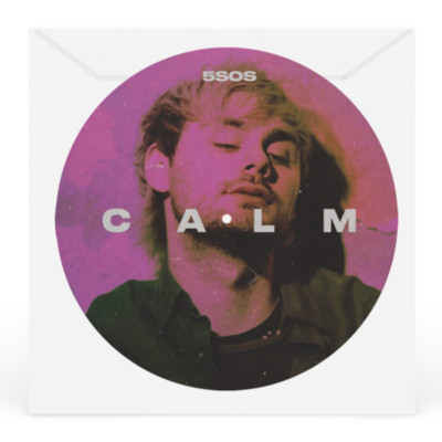 5SOS 5 Seconds Of Summer – Calm Exclusive Michael Edition Picture Disc ...