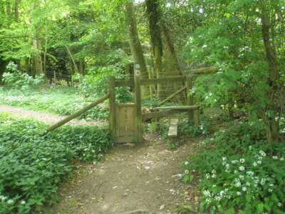 Photo 6x4 Hangers Way (Hawkley to Petersfield section) Stile 6 Oakshott ...
