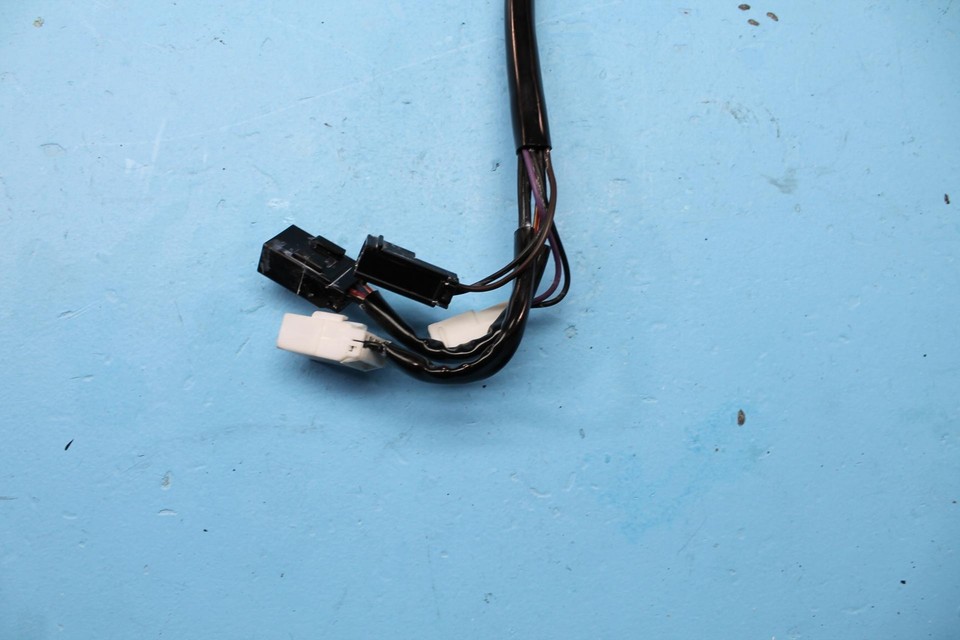 1307 00 Harley-Davidson Softail Rear Back Brake Tail Light Wire Harness ...