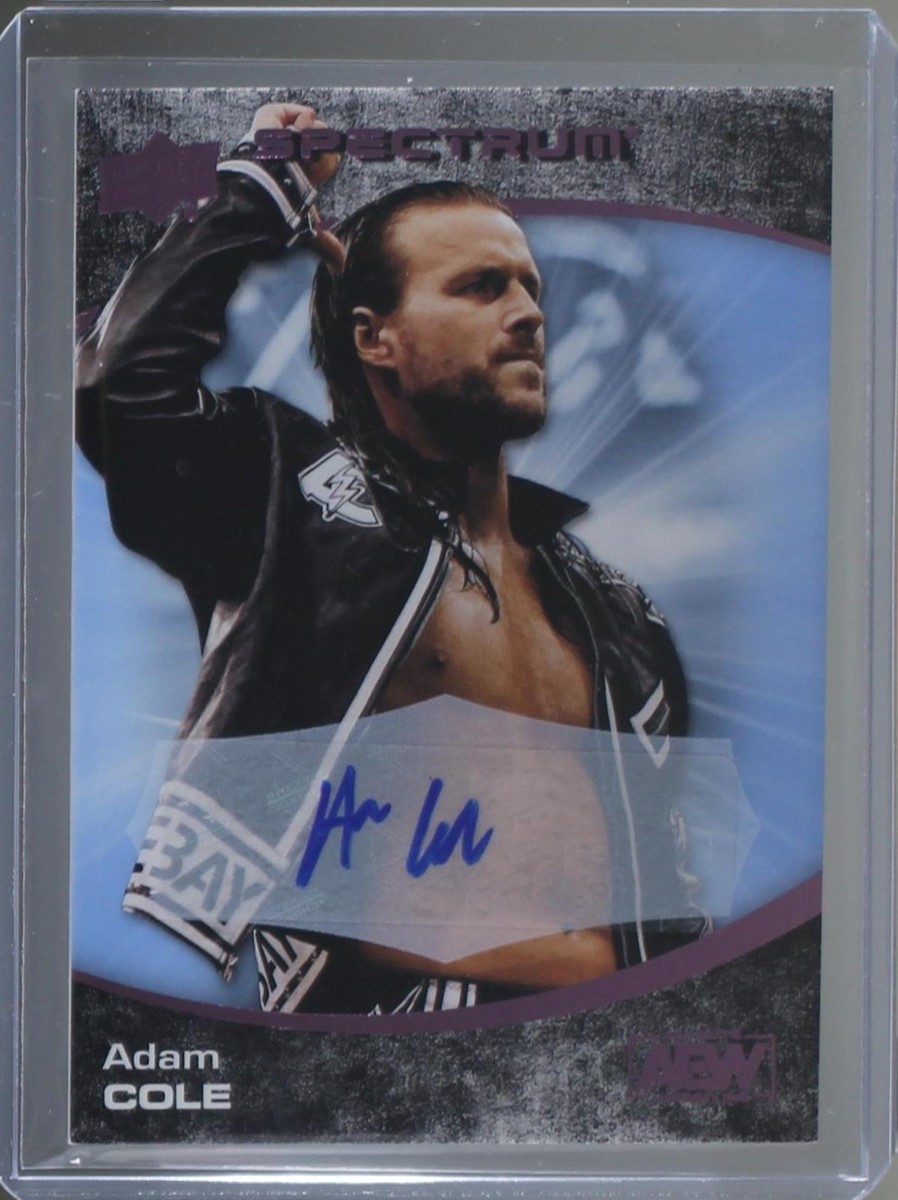 2021 Upper Deck AEW Spectrum - Beach Autograph #59 Adam Cole /5 (AU ...
