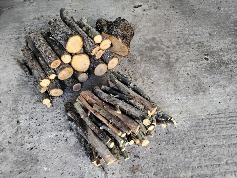 Hardwood Apple Tree Logs Firewood Smoking | eBay UK