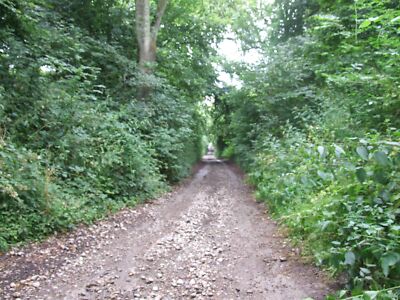 Photo 6x4 Chapel Lane, Upper Halling Paddlesworth/TQ6862 c2010 | eBay UK