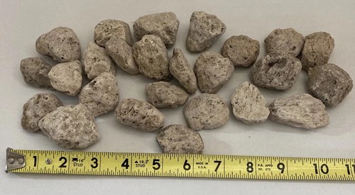 25 Small Pumice Volcanic Stones for Terrarium/Rock Garden/Collection ...