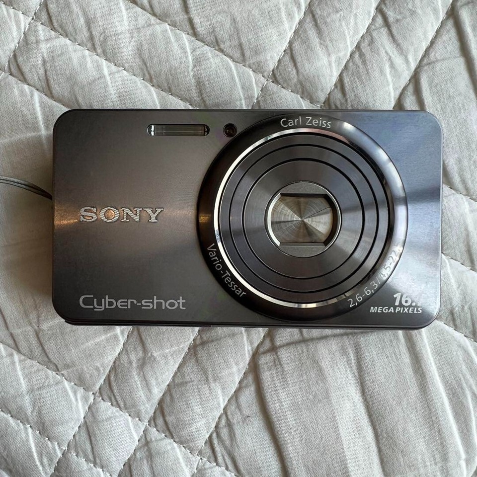 Sony CyberShot DSC-W570 SILVER 16.1 MP Digital Camera Japanese only ...