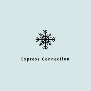 Express Connection | eBay Stores