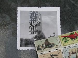 guilol | eBay Stores