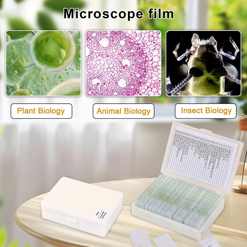 30 Microscope Slides with specimens, Plants, Insects, Animal Cell ...