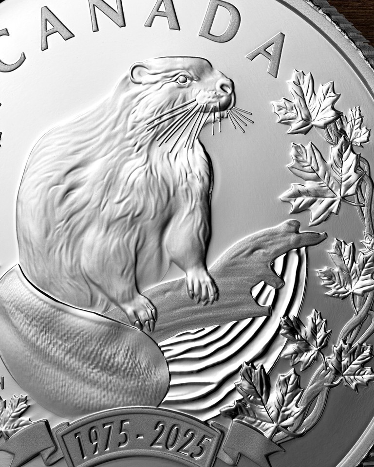 BEAVER Symbol 50th Anniversary 2025 CANADA .9999 Silver Dollar $1 Coin ...