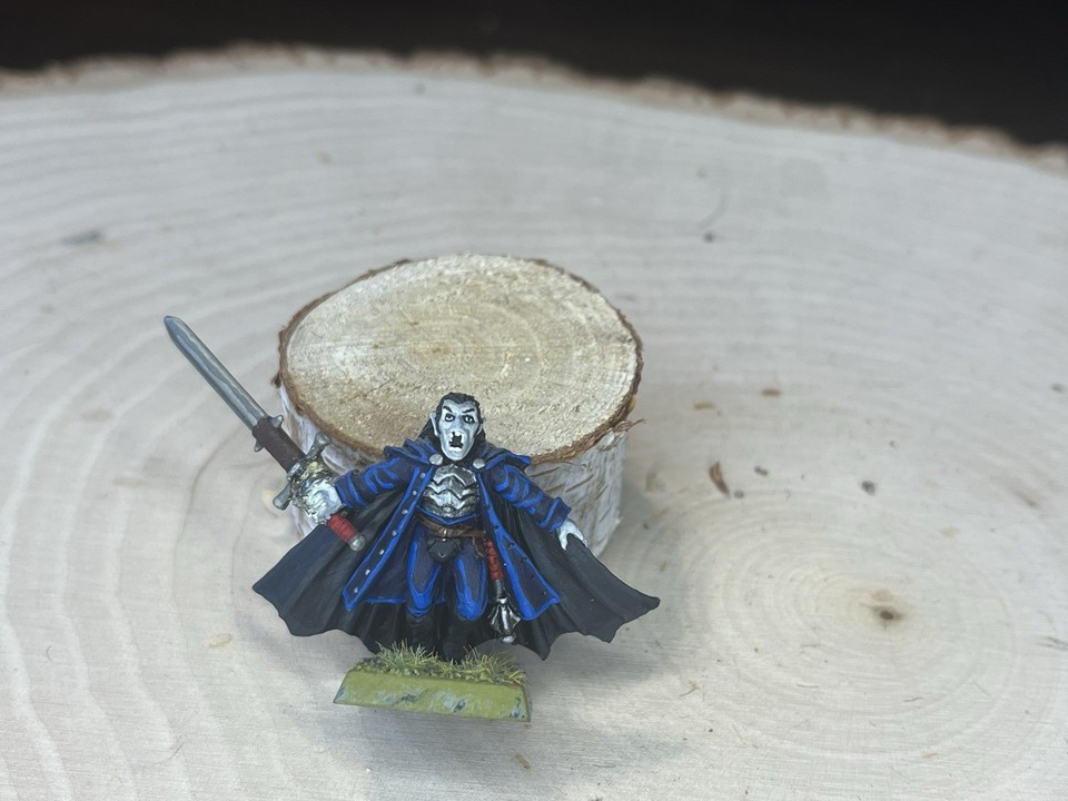 Warhammer Fantasy/Vampire Counts /Painted Vampire Lord /Dungeons ...