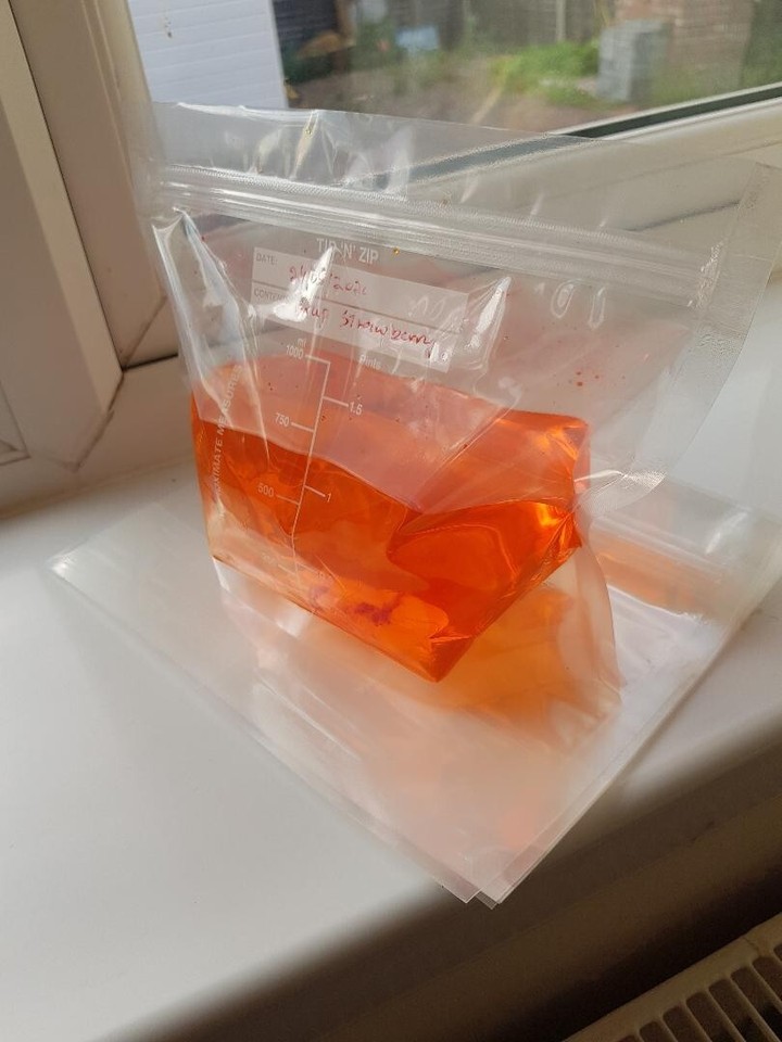 LIQUID FOOD FREEZER STORAGE REUSABLE BAGS RESEALABLE SELF STANDING FOOD ...