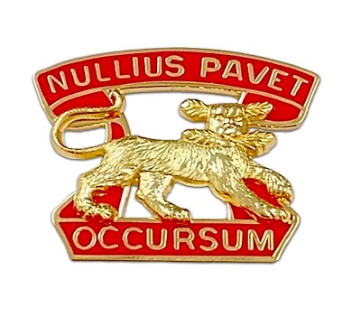 U.S. Army 7th ADA (RIGHT) Crest "NULLIS PAVET OCCURSUM" (each) | eBay