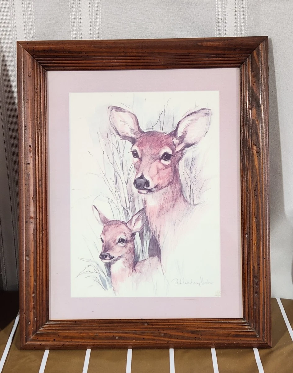 Doe And Fawn Deer Drawing