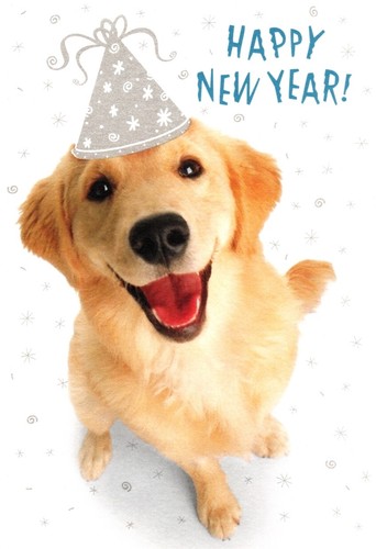 Cheers Happy New Year Wishes Yellow Lab Labrador Theme Hallmark ...