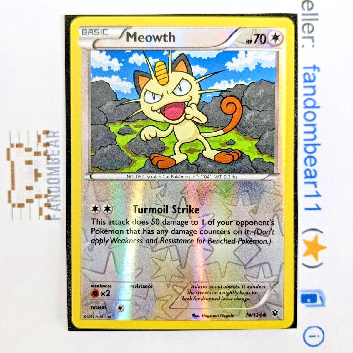 Cat In Pokemon X Pokemon
