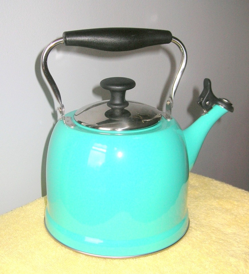 Martha Stewart Blue Induction EVERYDAY Tea Kettle - Stainless Steel ...