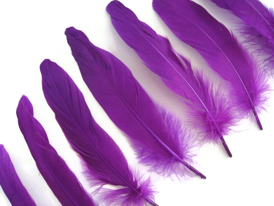 USA SELLER | 1 Pack - Purple Goose Satinettes loose feathers 0.3 oz ...