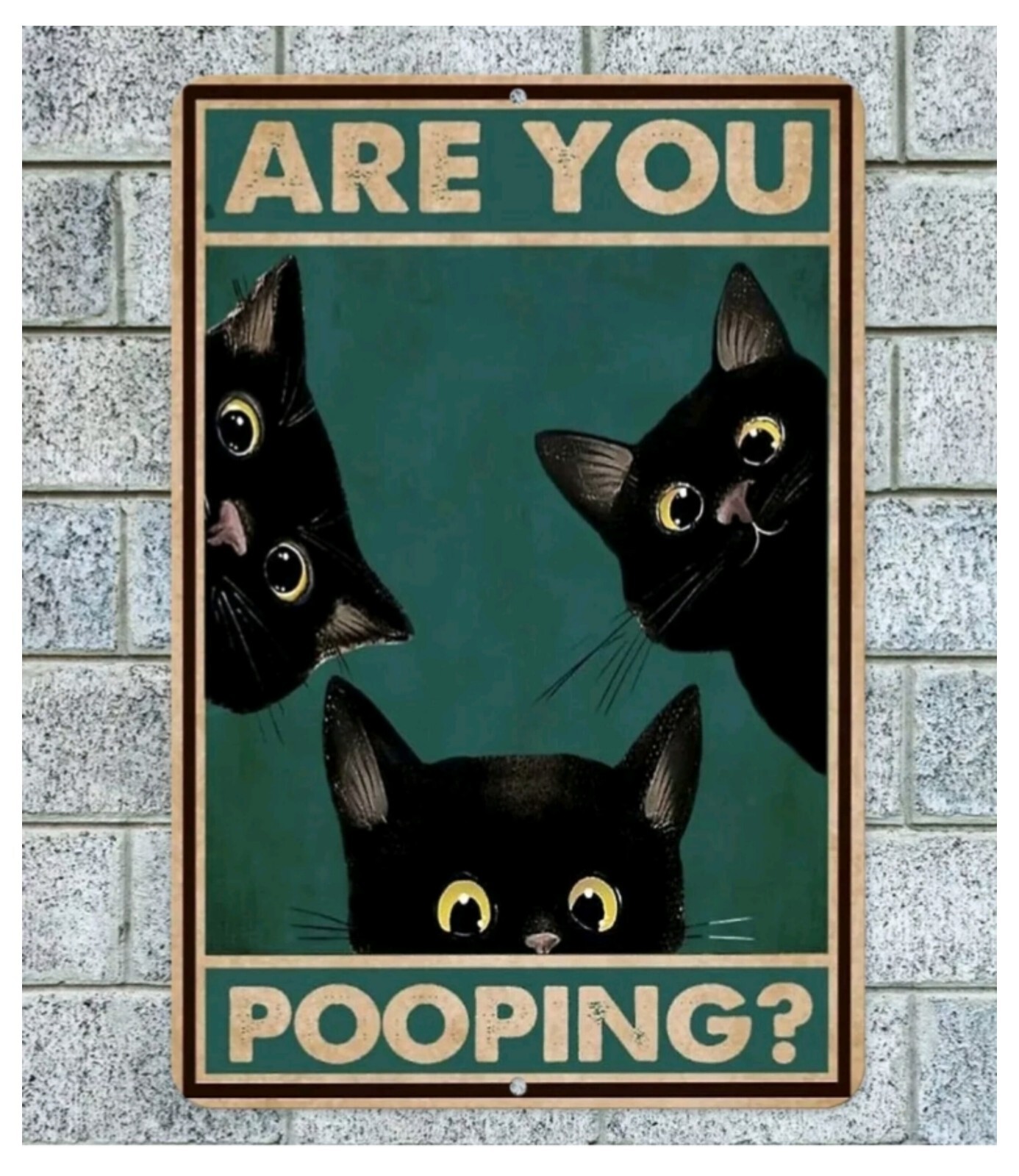 Cat Sign Poster | Are You Pooping Whimsical Bath Decor Look | eBay