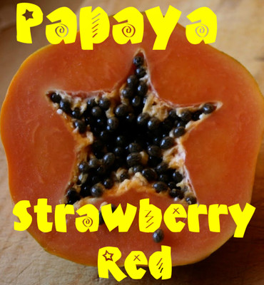 ~Sunset Papaya~ STRAWBERRY RED PAPAYA Hybrid SOLO 100+ SEEDS TASTY UH ...