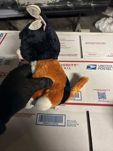 Ty Beanie Babies Boo Tauri The Calico Cat Plush 9” Stuffed Animal Toy w ...