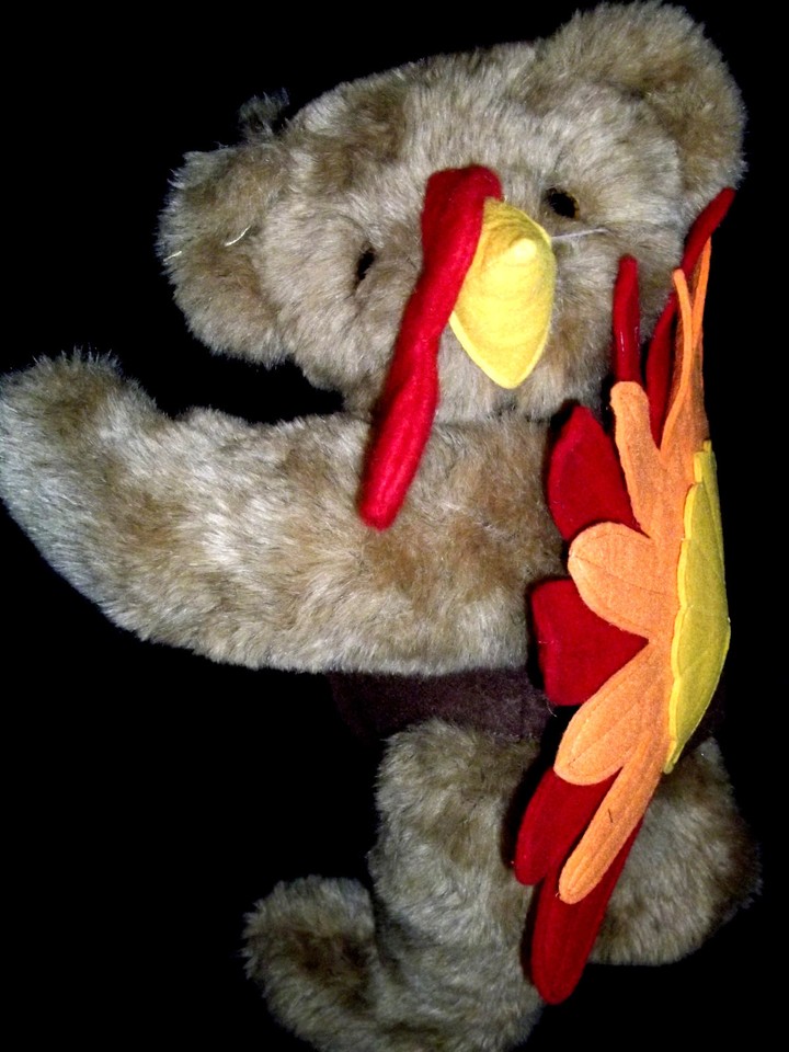 Vermont Teddy Bear Thanksgiving Turkey Bear BIV Eyes Jointed w/New ...
